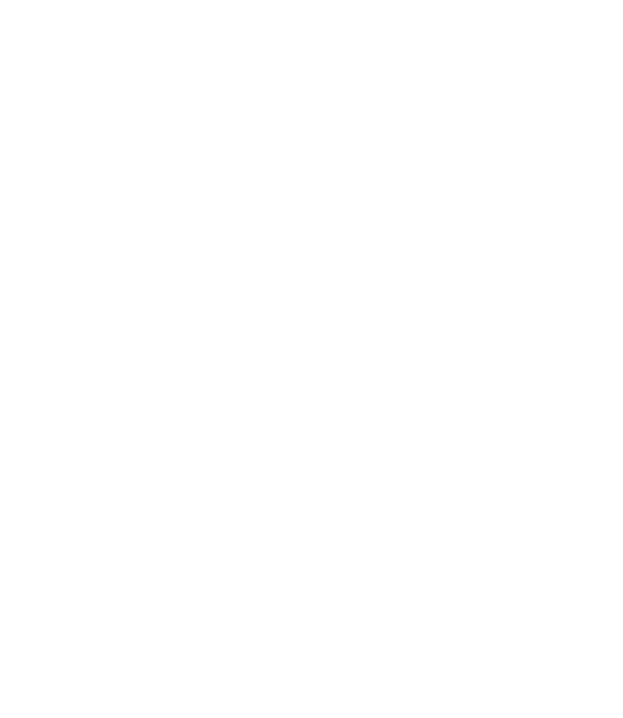 Community Connections - Catalyst Support